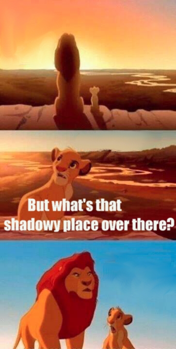 Simba Shadowy Place Blank Meme Template Imgflip